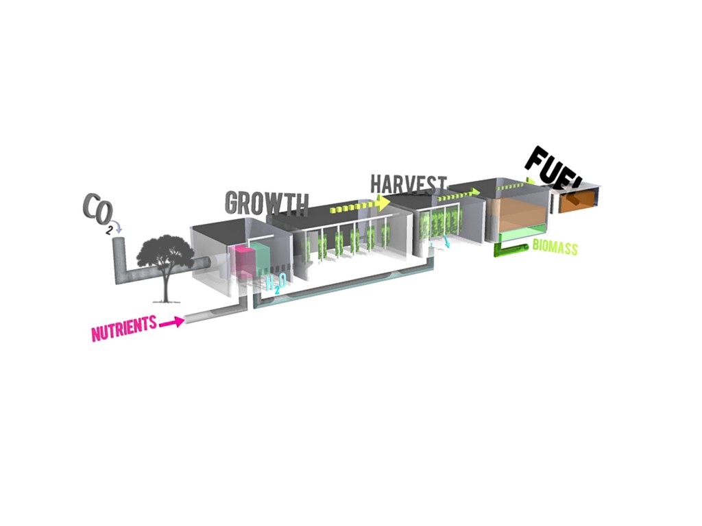 rendered image of 3-D diagram