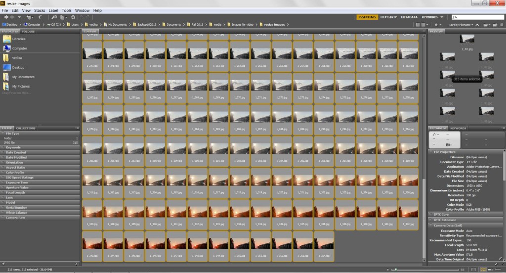 {LaB} » Temporal changes through time-lapse and annotation